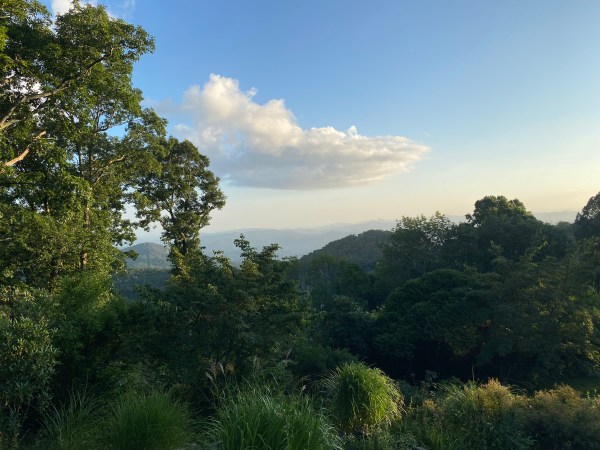 Aether Quilt – Patty Murphy